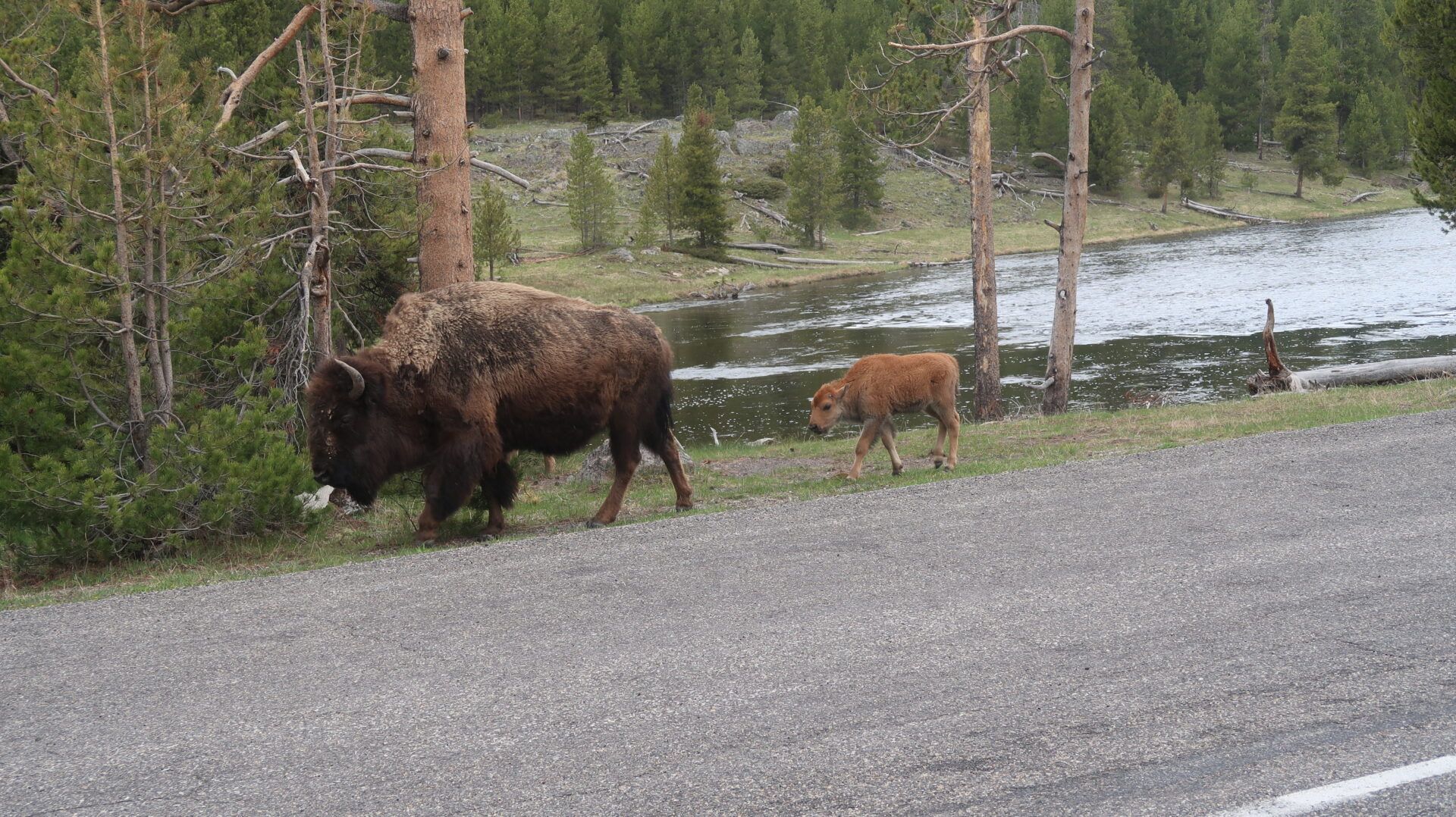 Ray's Adventures - travels and adventures to share